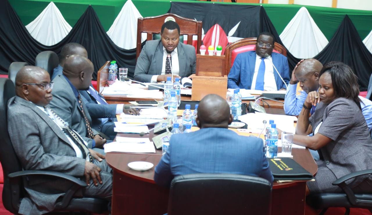 Kitui: Health CECM Nominee Applauded During Vetting Exercise - Safi news